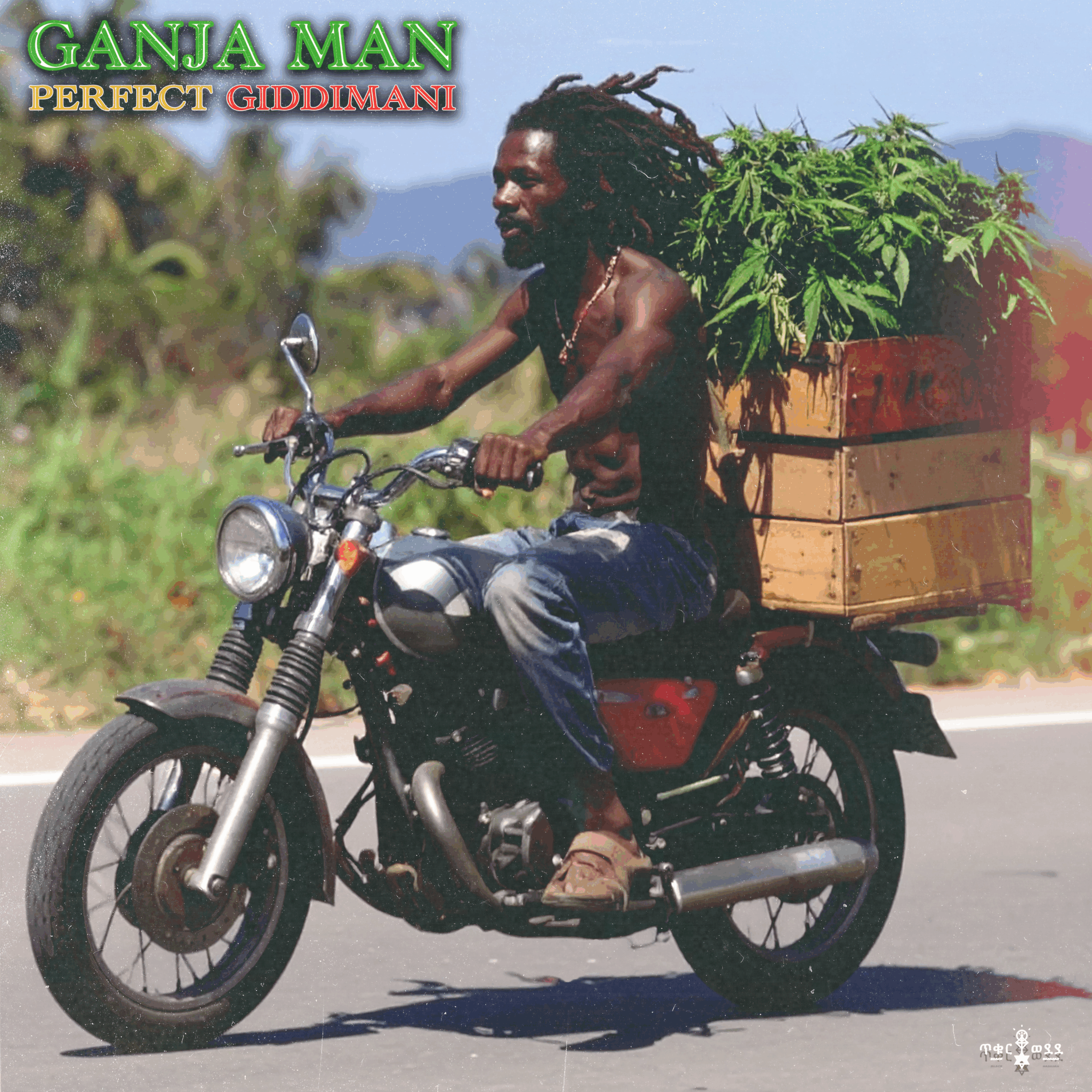 Ganja Man, nuevo single de Perfect Giddimani | Reggae Canario